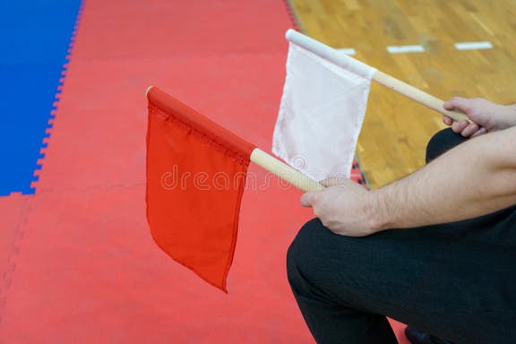 The Karate Referee Sitting beside the Mat Stock Photo - Image of ...