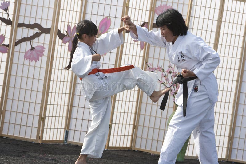 Karate Form editorial photography. Image of form, black - 21310677