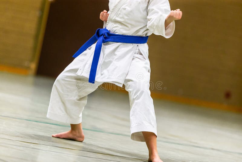 Karate Shotokan Kata stockbild. Bild von kata, shotokan - 125859275