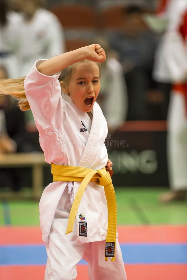 Karate Shotokan Kata Tournament Imagen de archivo editorial - Imagen de ...