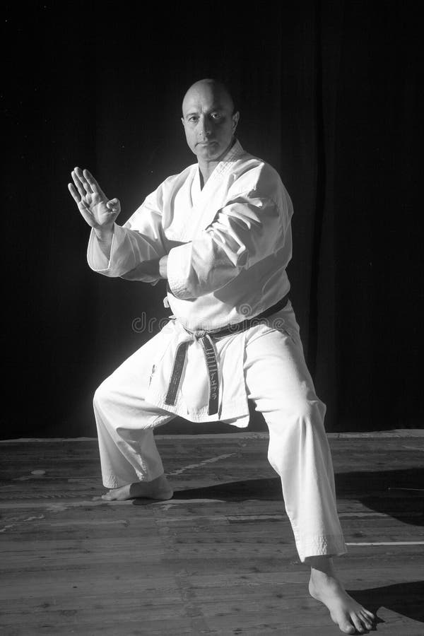 Karate show stock image. Image of sports, kata, technique - 92251581
