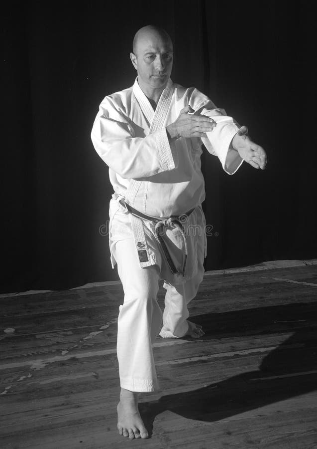 Karate show stock image. Image of sports, technique, white - 92251707