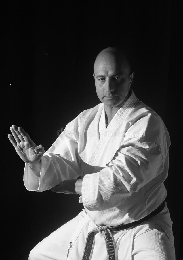 Karate show stock image. Image of technique, passports - 92252265