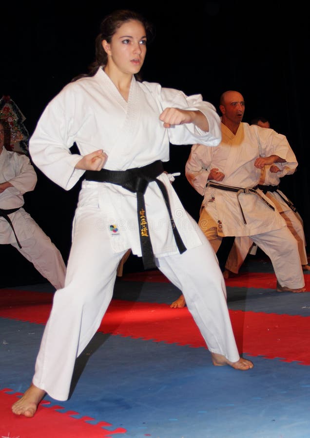 Karate show stock image. Image of combat, karateka, techniques - 92384179