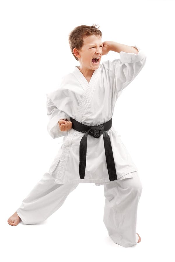 Karate Ninja stock photo. Image of expression, karate - 3319644