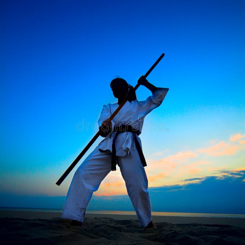 Karate on sunset beach stock image. Image of black, human - 25404367