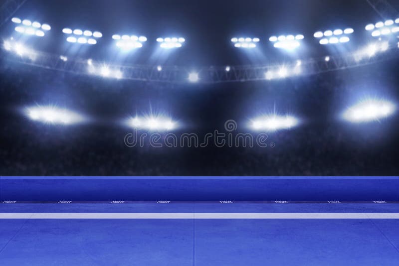 Karate Tournament Arena, Idrottskoncept Fotografering för Bildbyråer ...