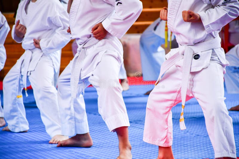 Karate training stock image. Image of arts, extreme - 117110831