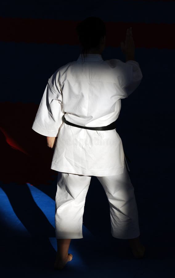 Karateka stock photo. Image of female, costume, karate - 9906002