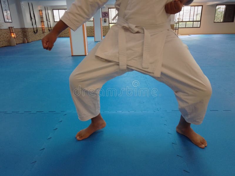 101 Techniques Kata Stock Photos - Free & Royalty-Free Stock Photos ...