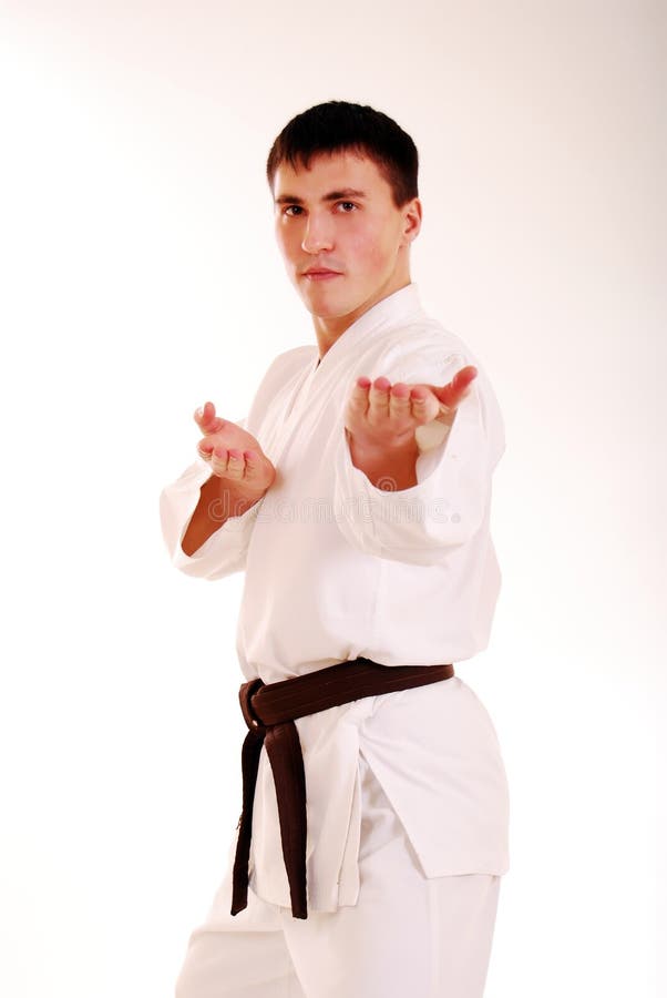 Karateka on a White Background. Stock Image - Image of boxing, profil ...