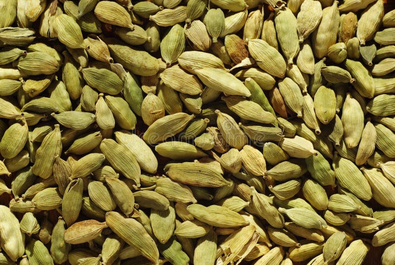 Kardamom stockfoto. Bild von schwerpunkt, grün, bake, koch - 5890714