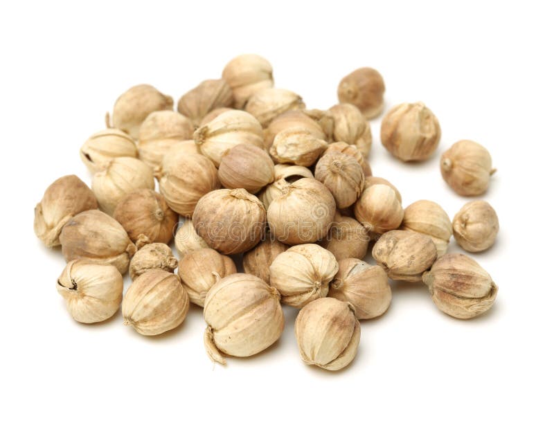 Kardemom stock afbeelding. Image of achtergrond, geïsoleerd - 115657949