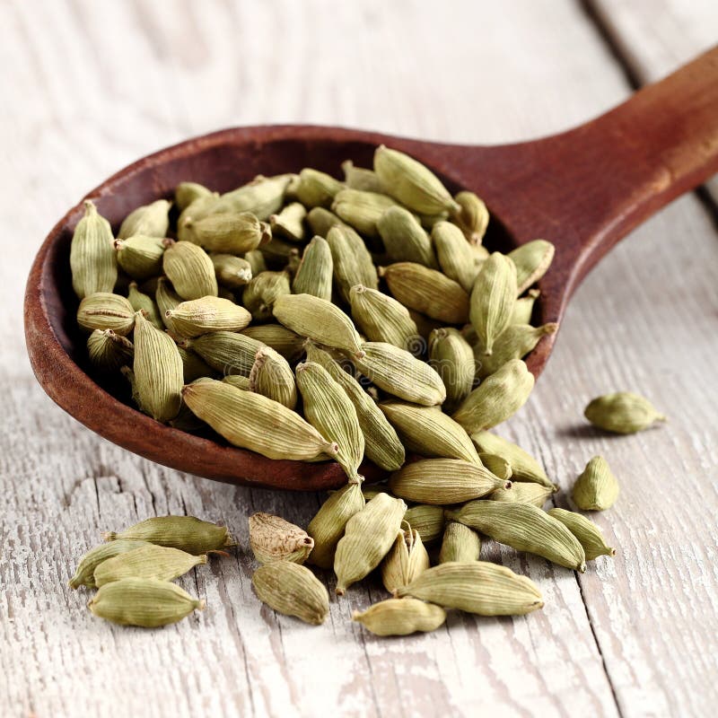Kardemom stock foto. Afbeelding bestaande uit houten - 14579072