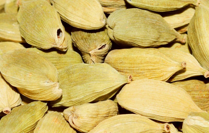 Kardemom (Elettaria-cardamomum) Stock Afbeelding - Image of indisch ...