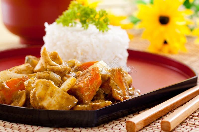 Kare Rice photo stock. Image du viande, kare, nourriture - 102921974