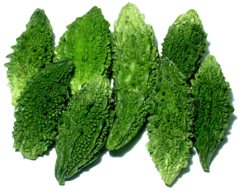 Karela stock photo. Image of bitter, herbal, gourd, flavour - 109408