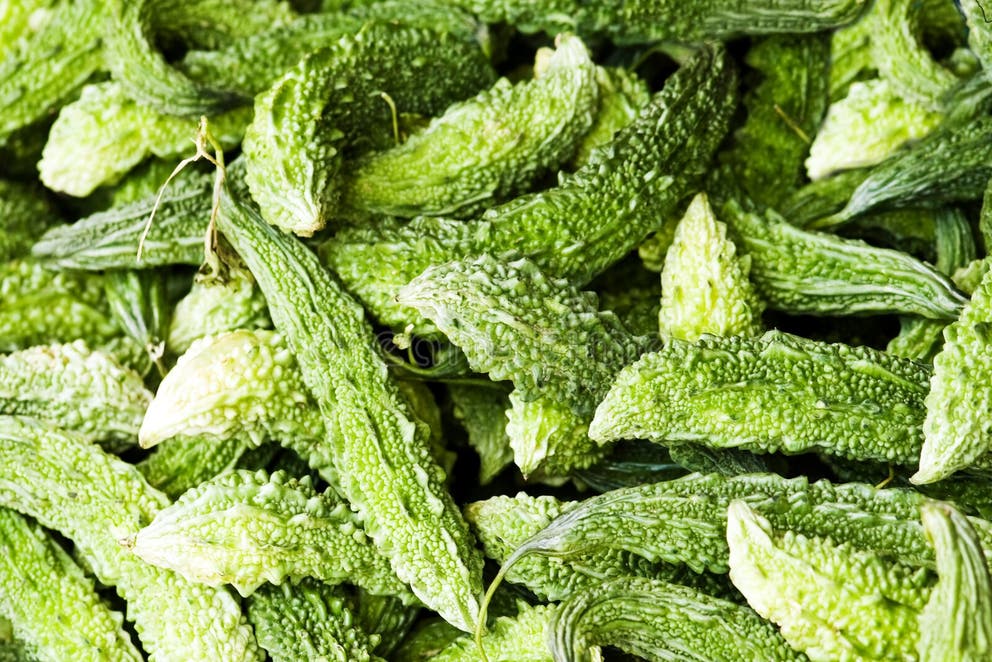 Karela stock image. Image of east, food, bitter, tropical - 26126371