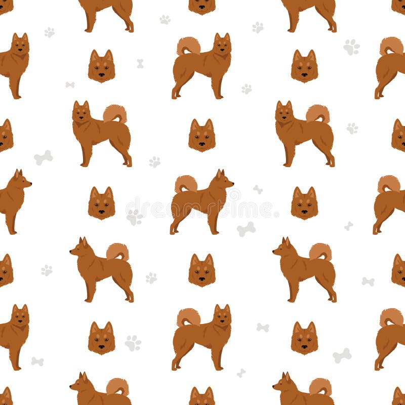Karelo-Finnish Laika Seamless Pattern. Different Coat Colors Set Stock ...