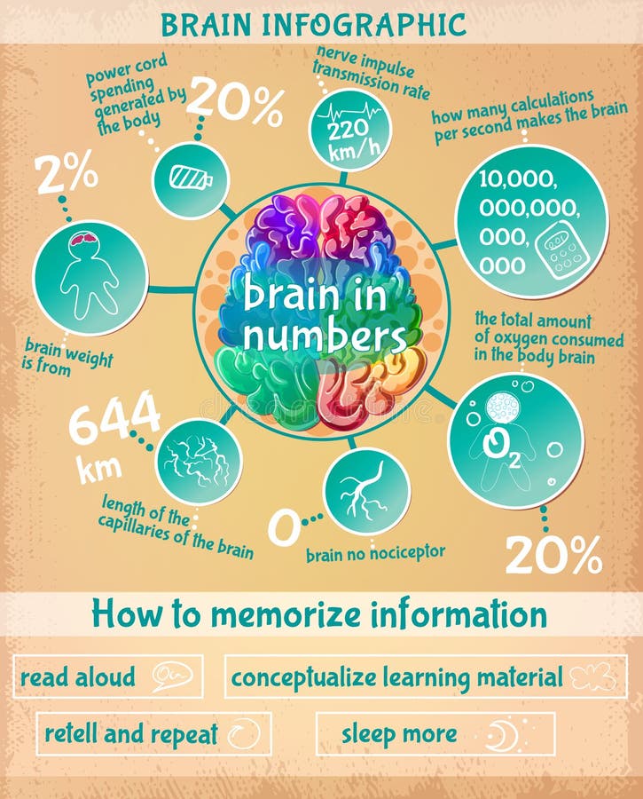 Karikatur-Mensch Brain Intelligence Concept Vektor Abbildung ... Karikatur-Mensch Brain Intelligence Concept Vektor Abbildung ...