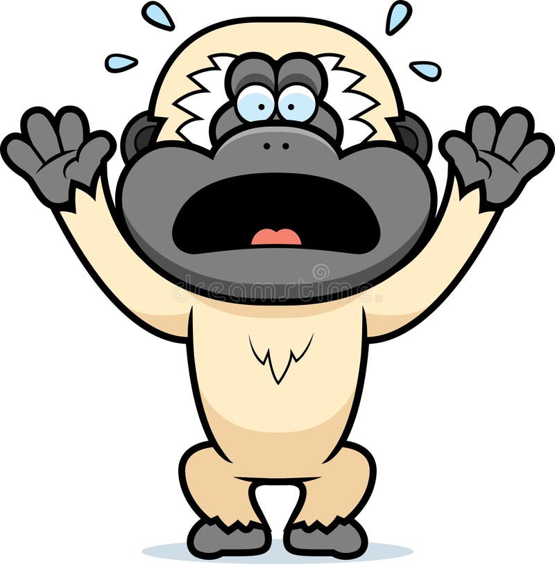 Karikatur Cat Panicking vektor abbildung. Illustration von orange ...