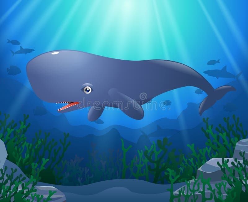 Cartoon Pottwal vektor abbildung. Illustration von element - 101717419