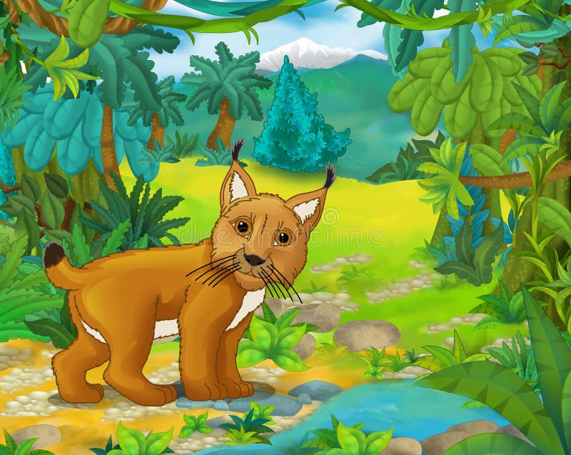 Karikaturtierszene - Karikatur - Luchs Stock Abbildung - Illustration ...