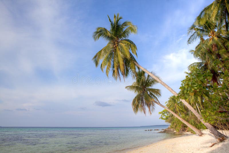 Karimunjawa Beach stock image. Image of carefree, swim - 22389083