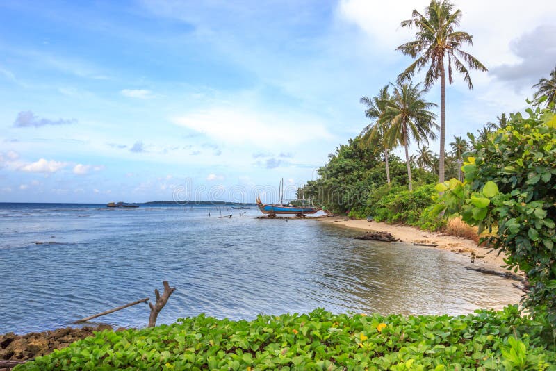 Karimunjawa Indonesia Java Beach Coastline Rocks Stock Image - Image of ...