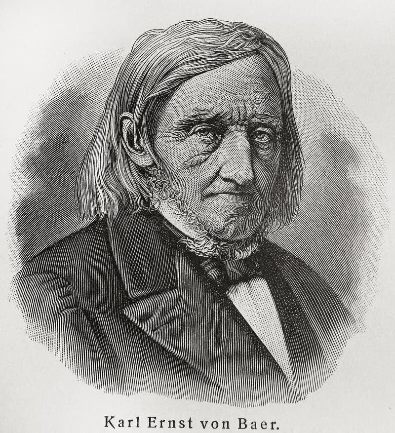 Karl Ernst von Baer stock photo. Image of embryology - 12265868
