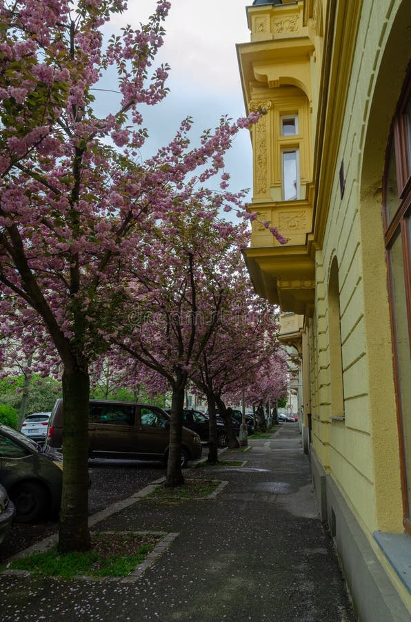 Karlin district in Prague stock photo. Image of springtime - 294414668