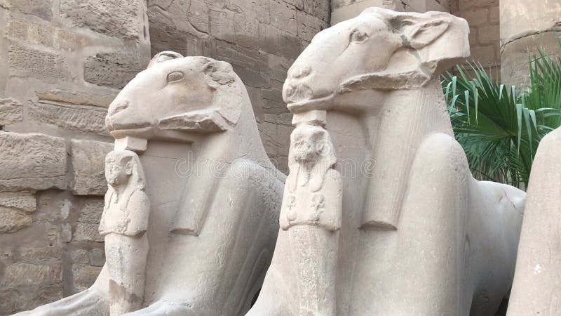 Ram-Headed Sphinxes and Small Figure of Nefertari at Karnak Temple ...