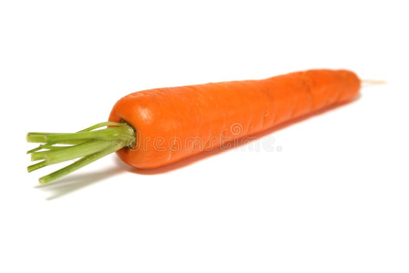 Karotte stockbild. Bild von frisch, bestandteil, karotte - 11016731