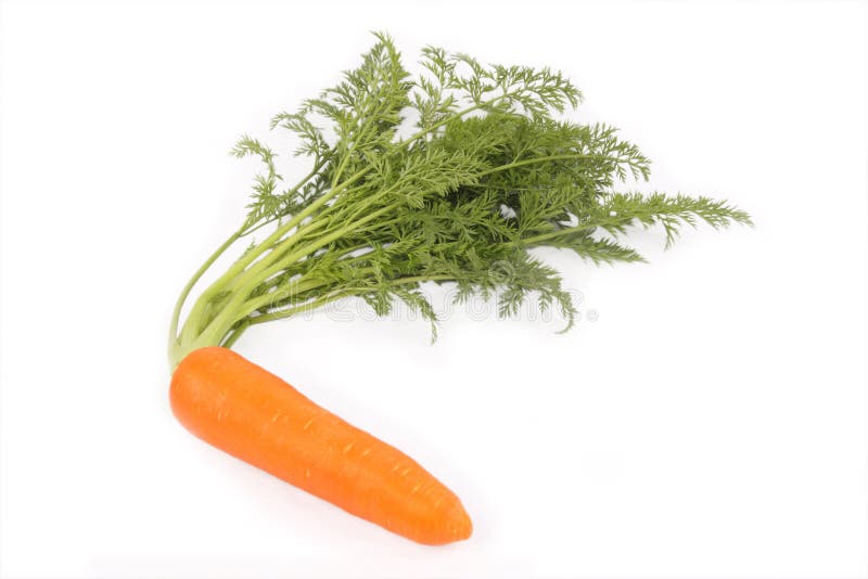Karotte stockfoto. Bild von gesund, sauber, carotin, essen - 13388368