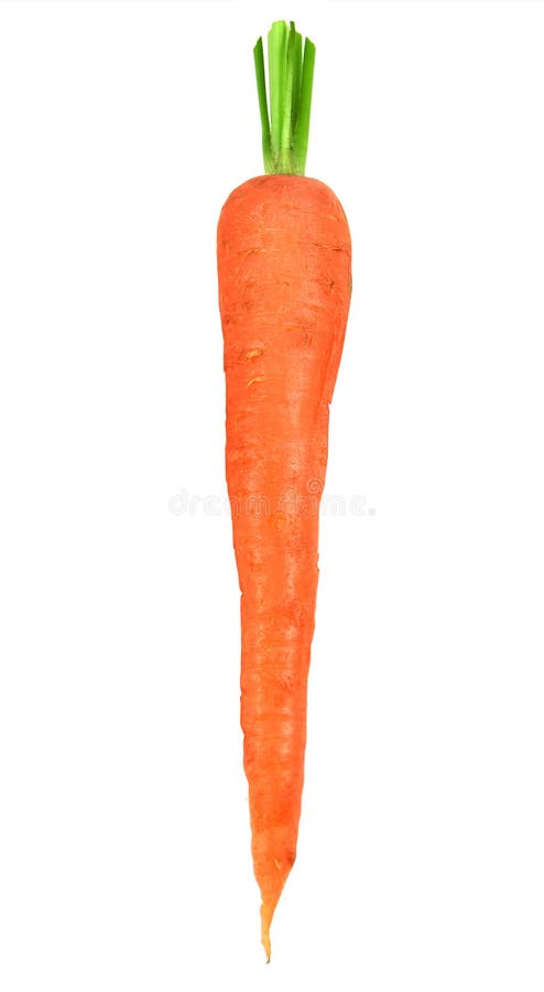 Karotte stockfoto. Bild von landwirtschaft, organisch - 16971558