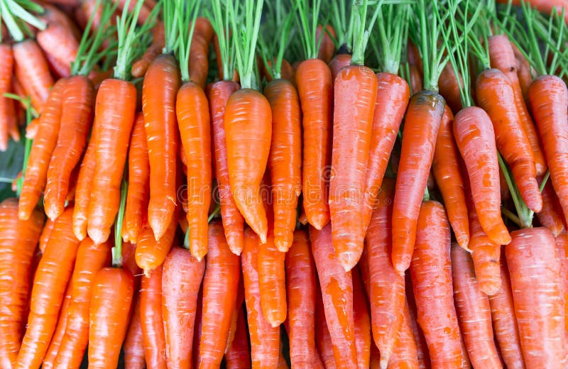 Karotte stockfoto. Bild von wurzel, bestandteil, orange - 34064894