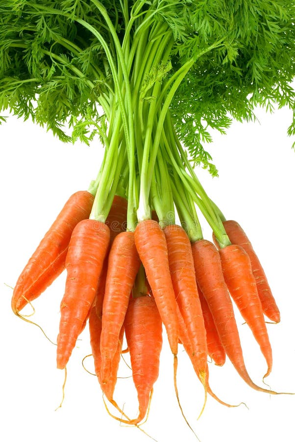 Karotte Stockfotos und Bilder - Laden Sie 339,915 lizenzfreie Fotos ...