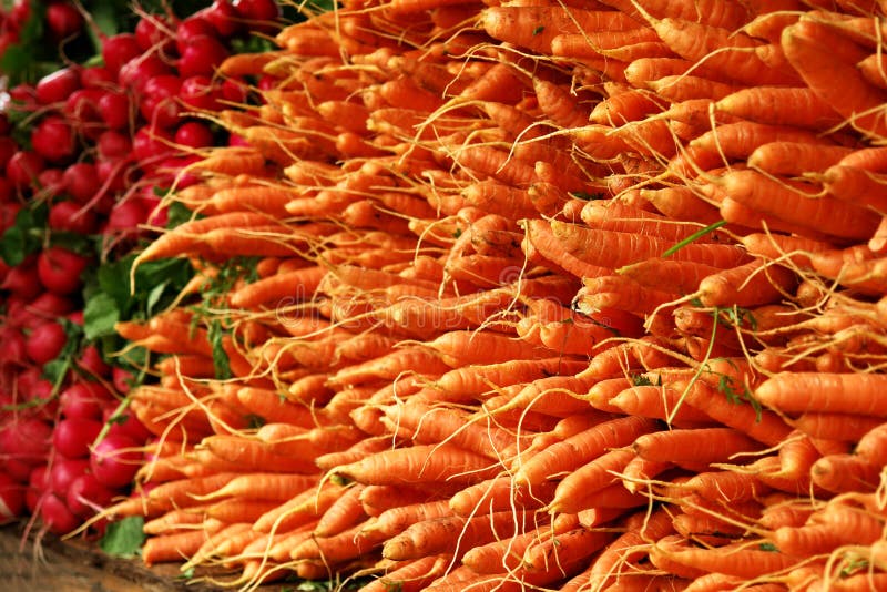 Bunte Karotten stockfoto. Bild von farben, vegetarier - 8006578