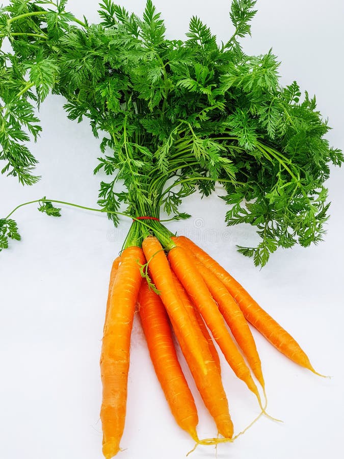 161,653 Karotten Fotos - Kostenlose und Royalty-Free Stock-Fotos von ...
