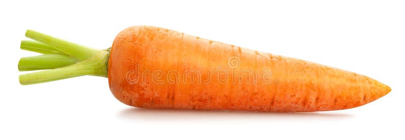 Karotte einzeln stockfoto. Bild von karotte, sonderkommando - 25084636
