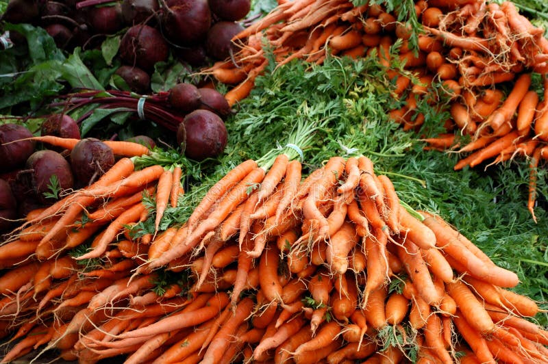 Karotten stockfoto. Bild von karotte, gemüse, rüben, frisch - 26756618