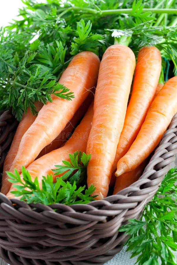 Karotten in einem Korb stockfoto. Bild von karotte, frische - 177426