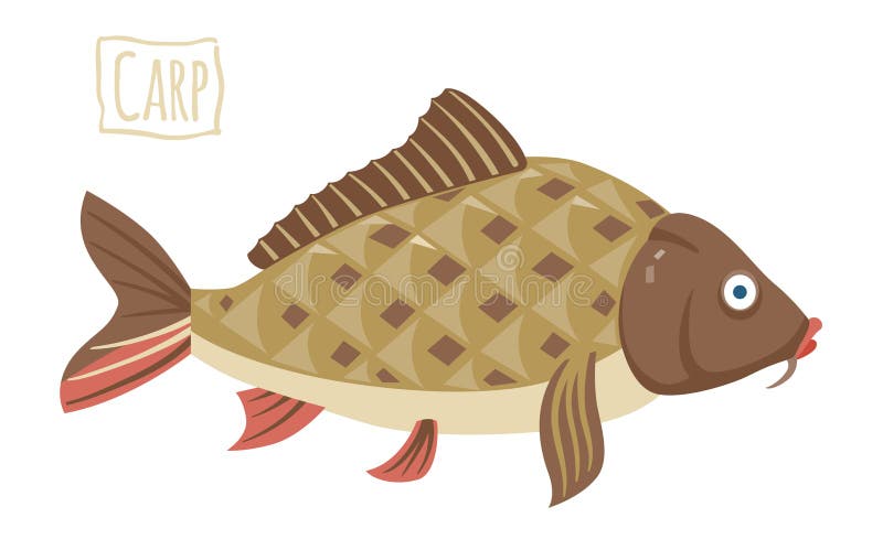 Koi-karp-vectorisolaat Voor Tatoeagestijl Japanse Kartonnen Tekening ...