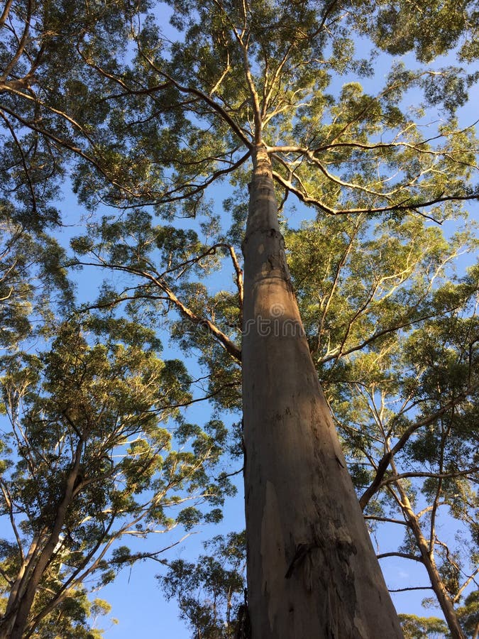 Damian Crawford (Kiminda) - Photographer profile