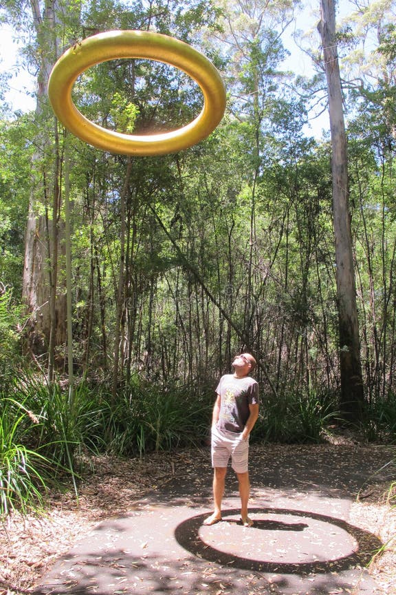 Karri Trees, West Australia Stock Photo - Image of blue, great: 65170226