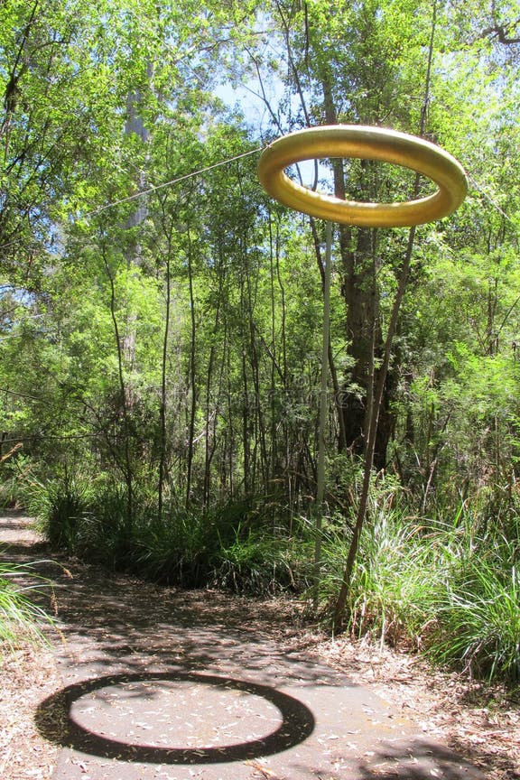 Karri Trees, West Australia Stock Photo - Image of lush, bark: 65170964