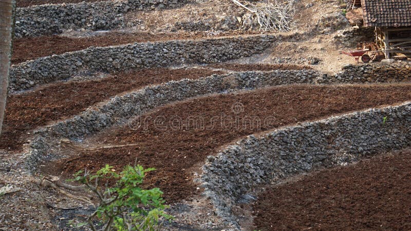 Typical Karst Landscape Forms Stock Photos - Free & Royalty-Free Stock ...