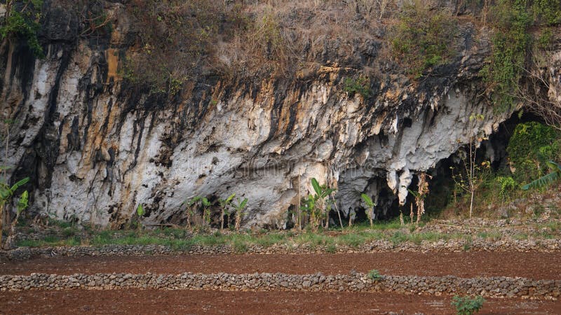 Arst is a Type of Landscape Where the Dissolving of the Bedrock Stock ...