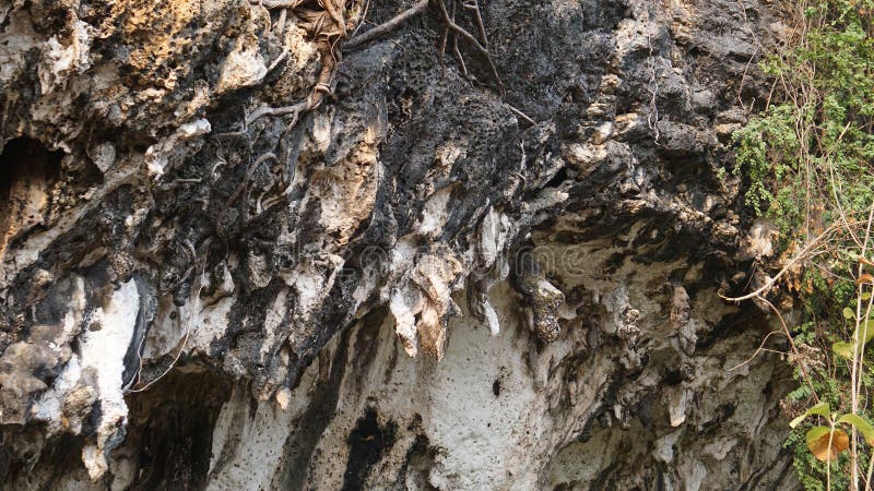 Typical Karst Landscape Forms Stock Photos - Free & Royalty-Free Stock ...