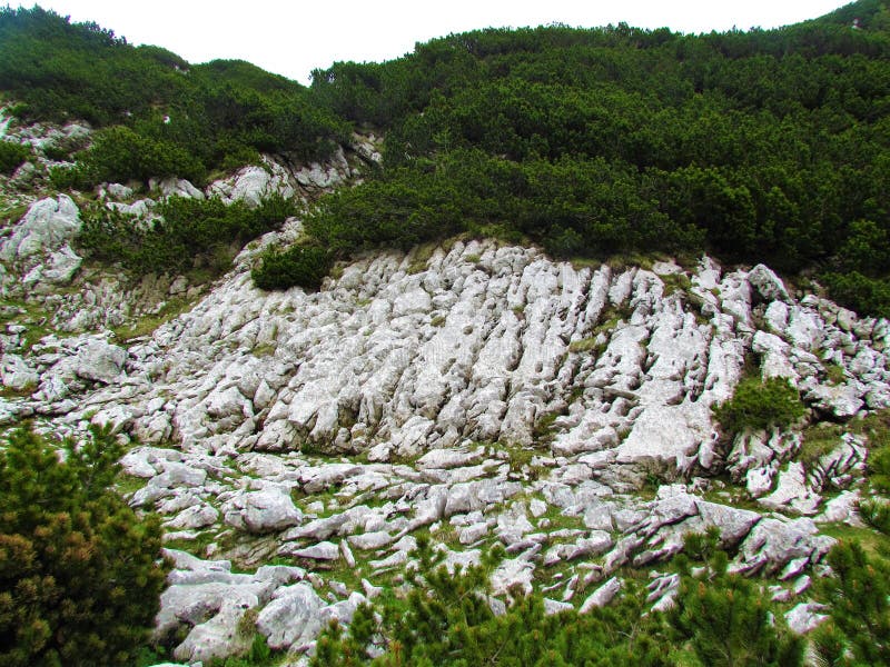 Karst formation stock image. Image of carboniferous - 244998865